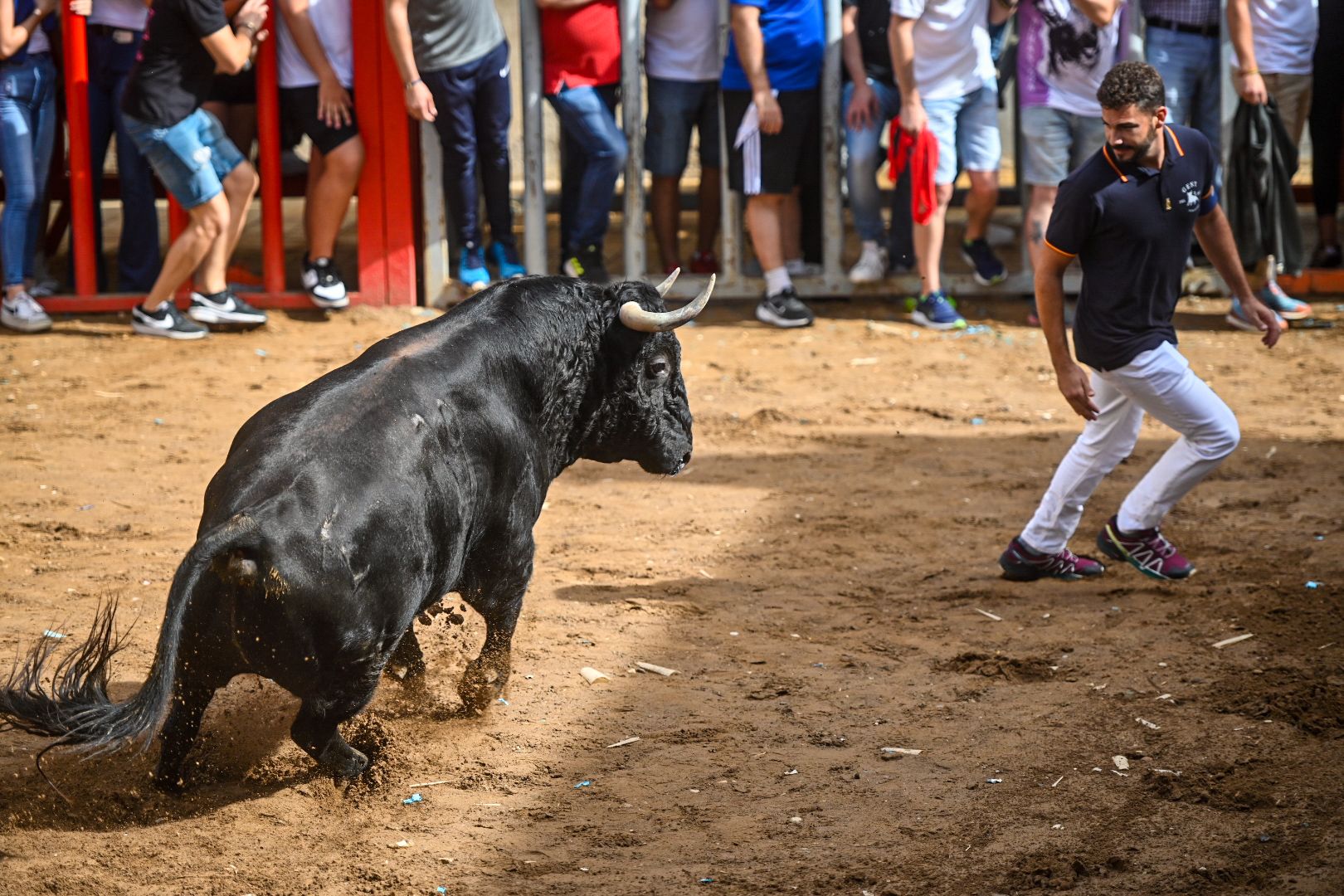 Día del mayor y tarde de toros en Almassora