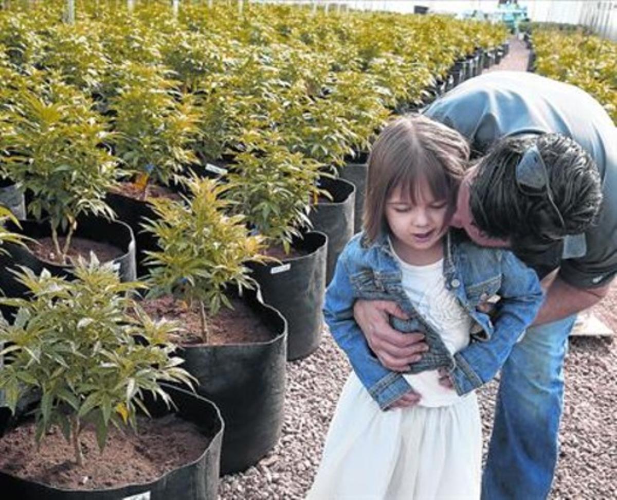 El lobi de la marihuana en EEUU