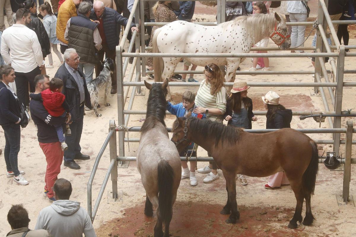 Las imágenes de 'A Feira Cabalar' en Amio