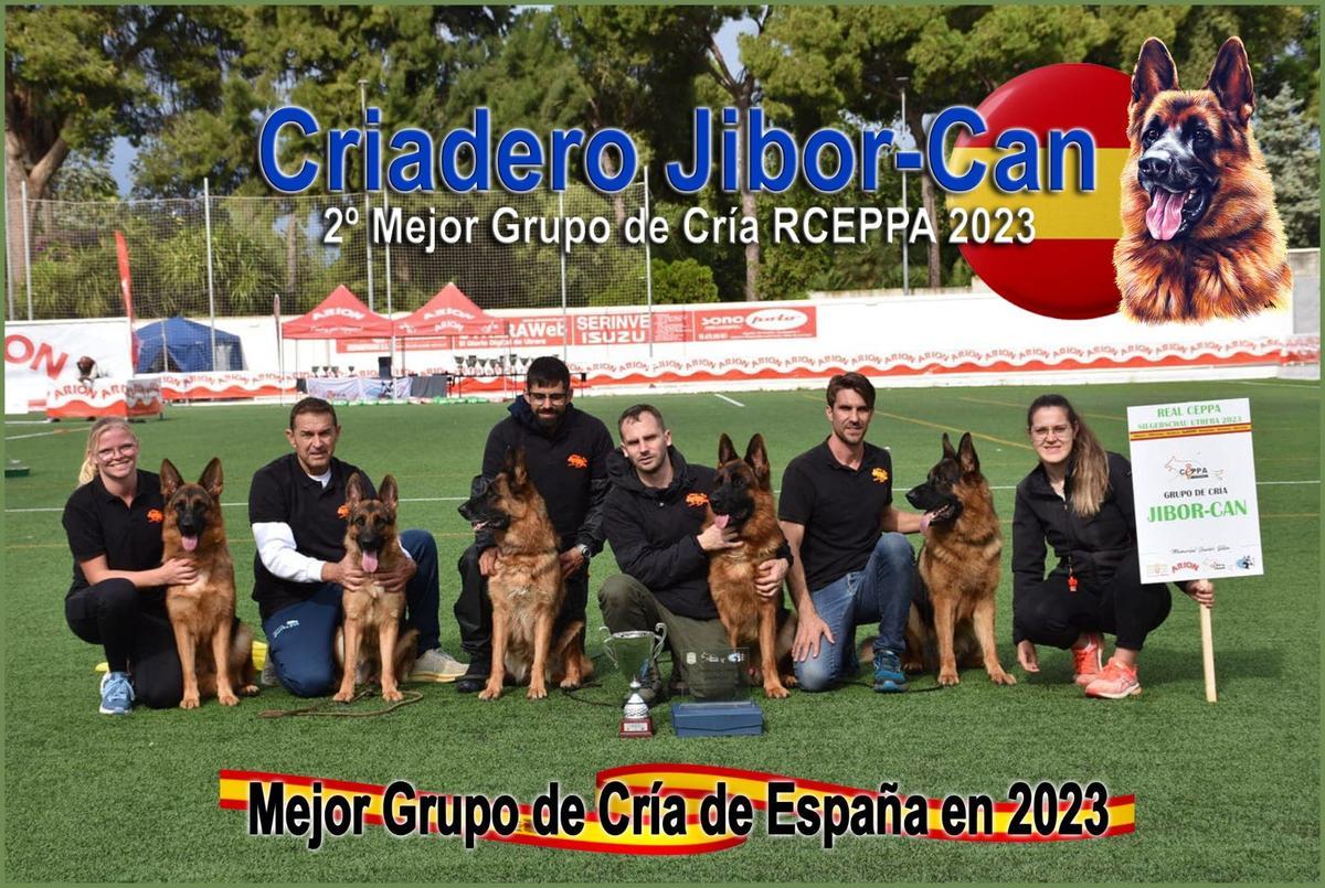 Unos perros de campeonato: Los mejores pastores alemanes son de Castellón