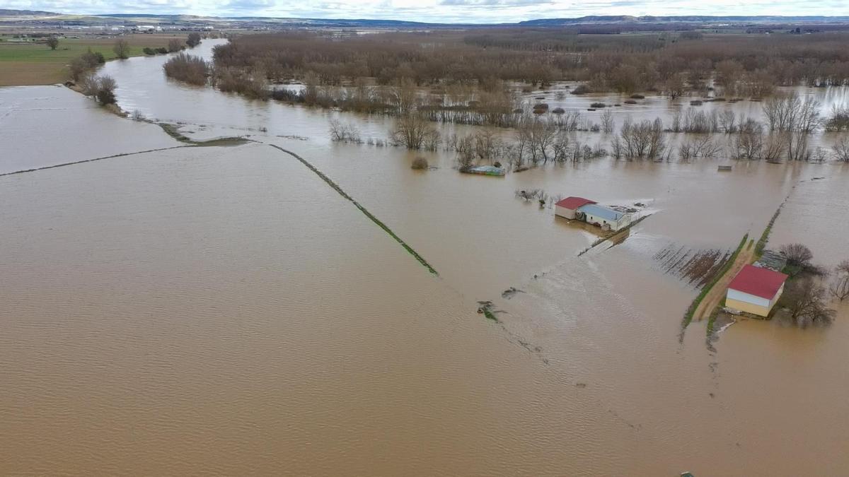 Impresionantes imágenes de la crecida del Duero en La Rinconada
