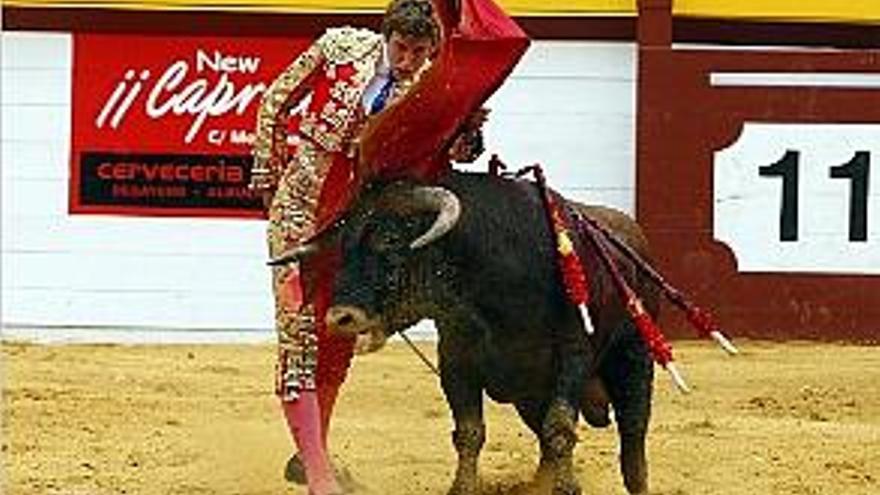 Román triunfa en Algemesí por su toreo firme y de valor