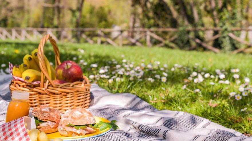 TIEMPO LIBRE: Siete sitios con encanto para hacer picnic cerca de Santiago