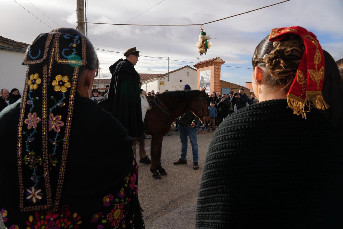Los quintos de El Pego, fieles a correr el gallo