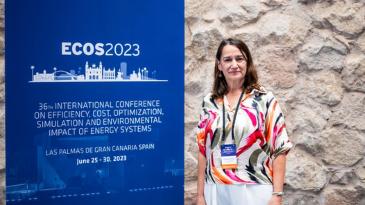 «Contra la descarbonización actúan grupos de presión, no la sociedad ...