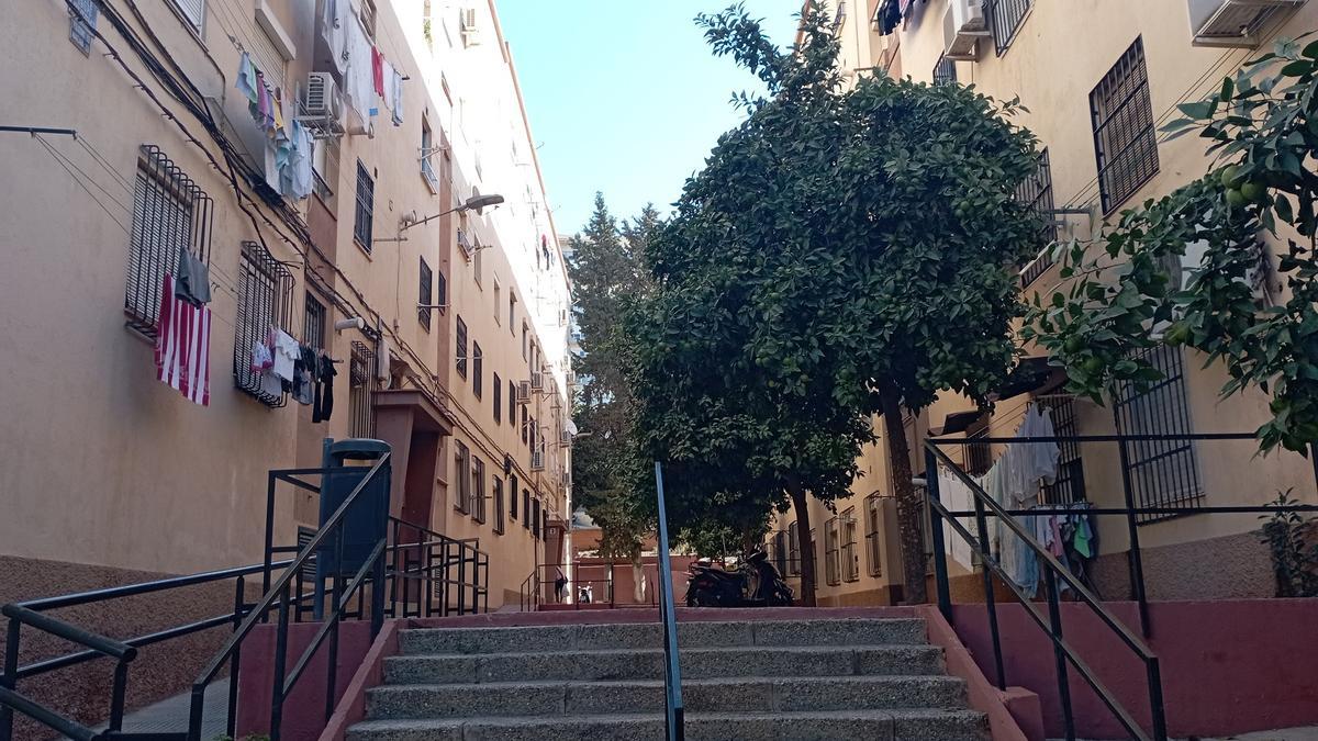 Obispos y plantas en la barriada de Las Flores - La Opinión de Málaga