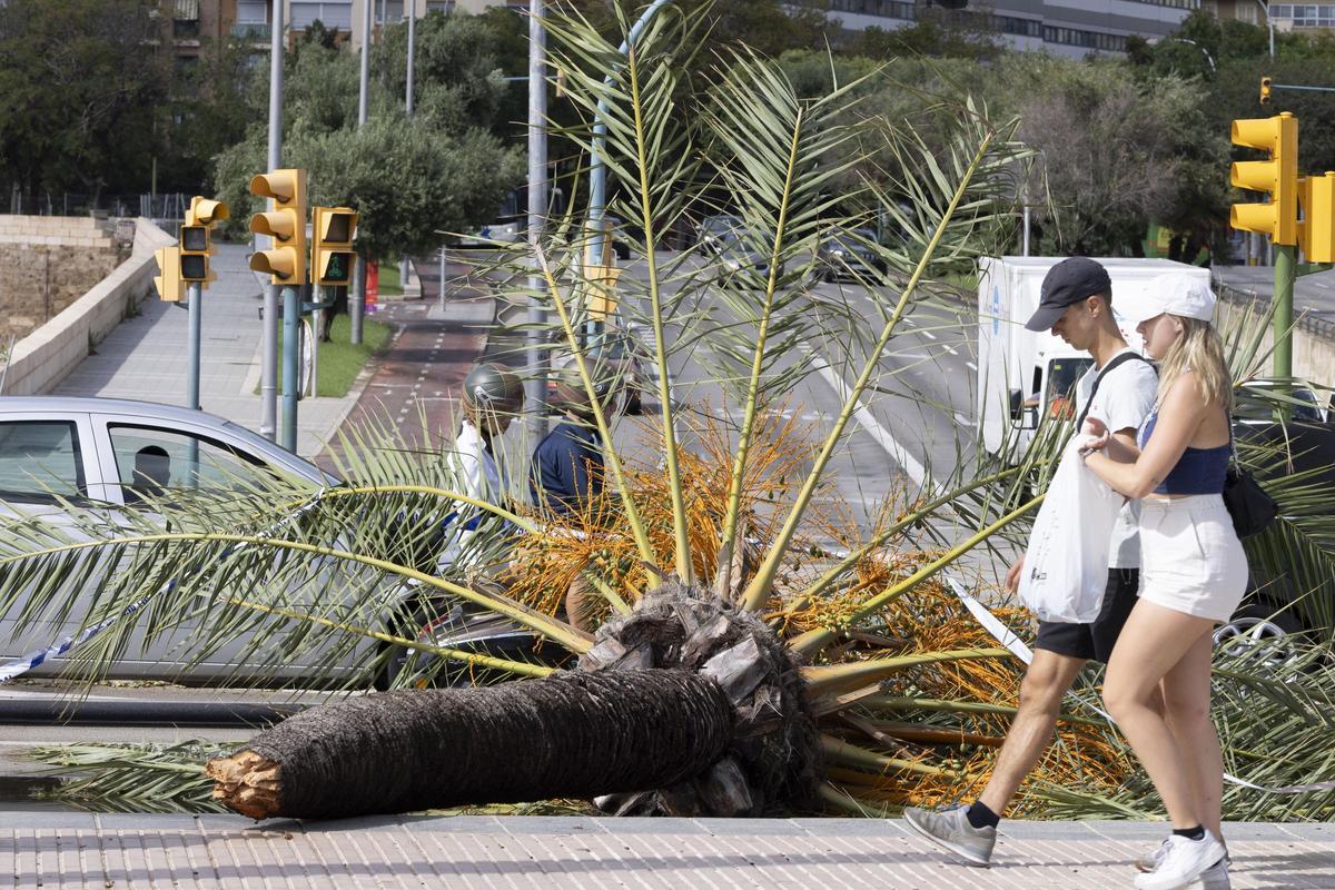 Tormenta en Mallorca: el vídeo de la violenta tormenta que azota ...