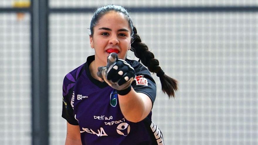 Hockey sobre patines: El Lena llama a llenar su cancha para meterse en ...