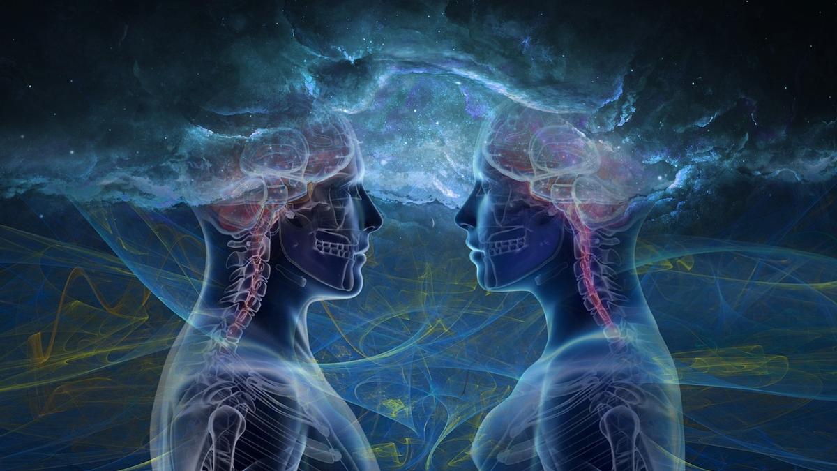 El cerebro dispone de un sofisticado módem para gestionar la cognición