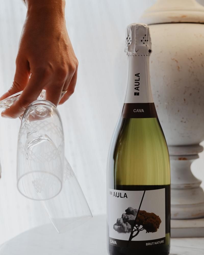 VINO VALENCIA: Requena presenta sus mejores cavas