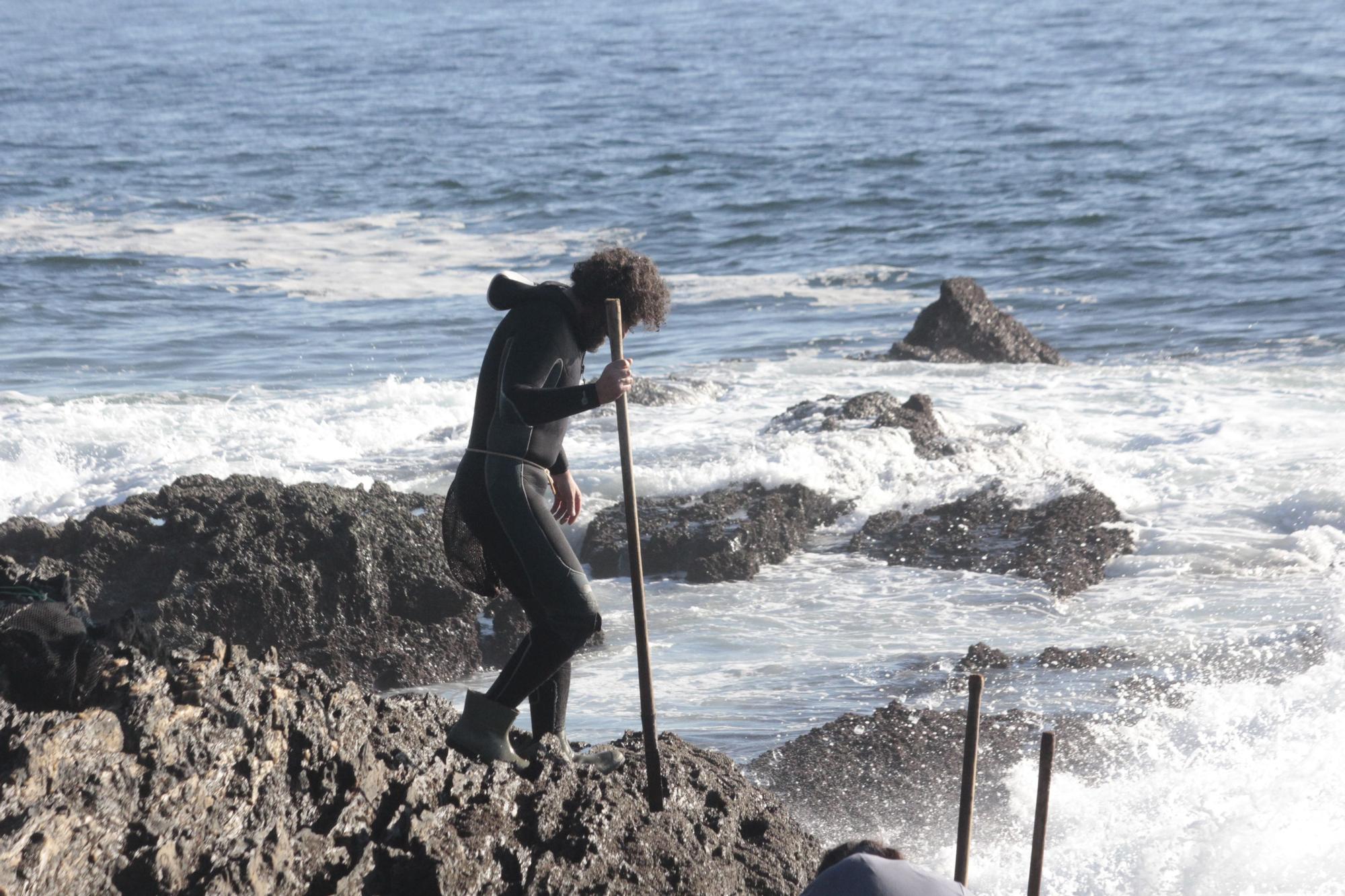 Percebeiros de Cangas vuelven al "manicomio" de la Costa da Vela