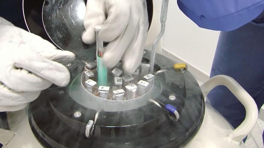 Unidad de Reproducción Vistahermosa: Todas las claves de su éxito ...