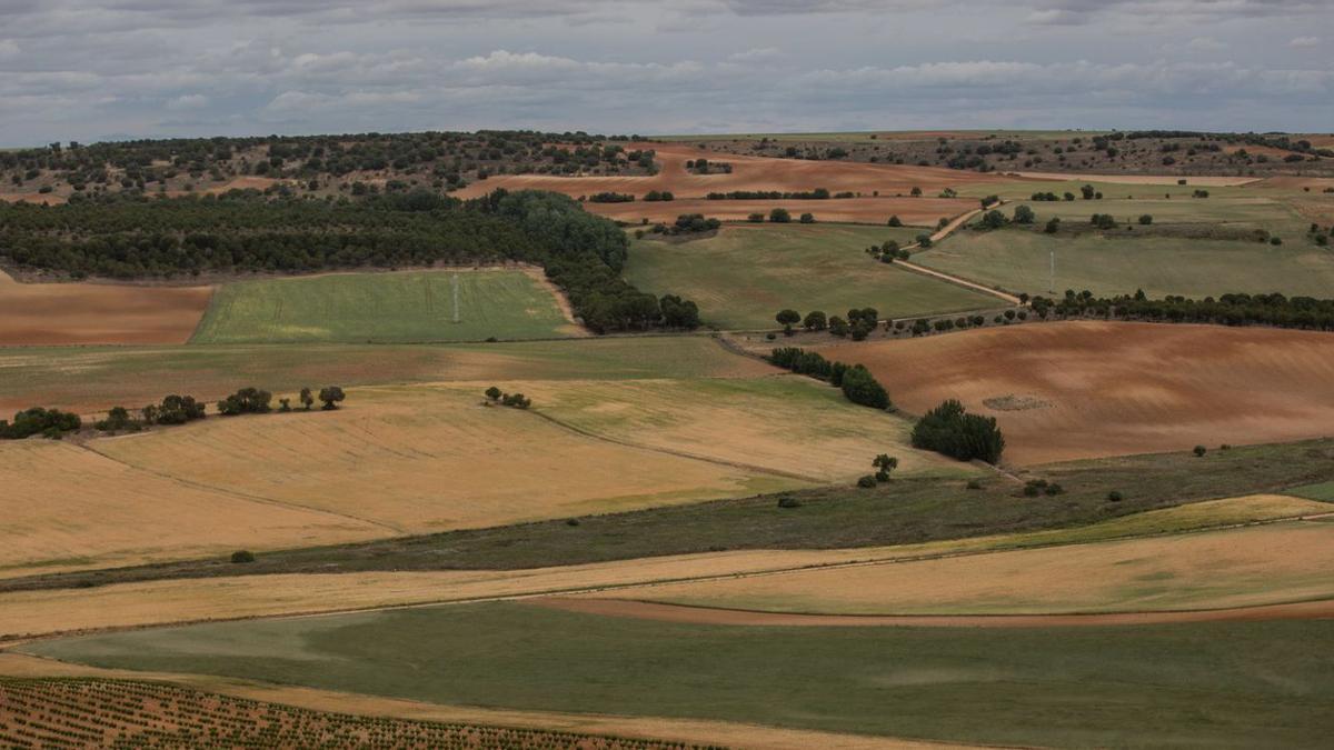 El creciente éxodo urbano dispara la venta de fincas rústicas en Zamora