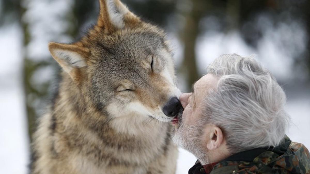 Hombre Lobo Lobos Lobos