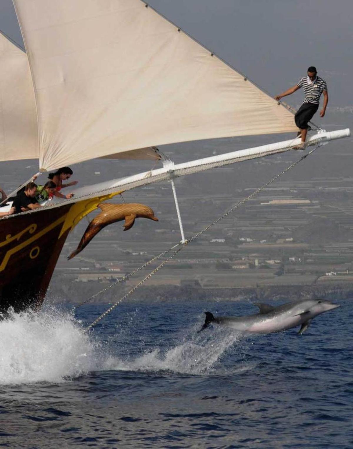 Teo Lucas, una vida entre ballenas y delfines