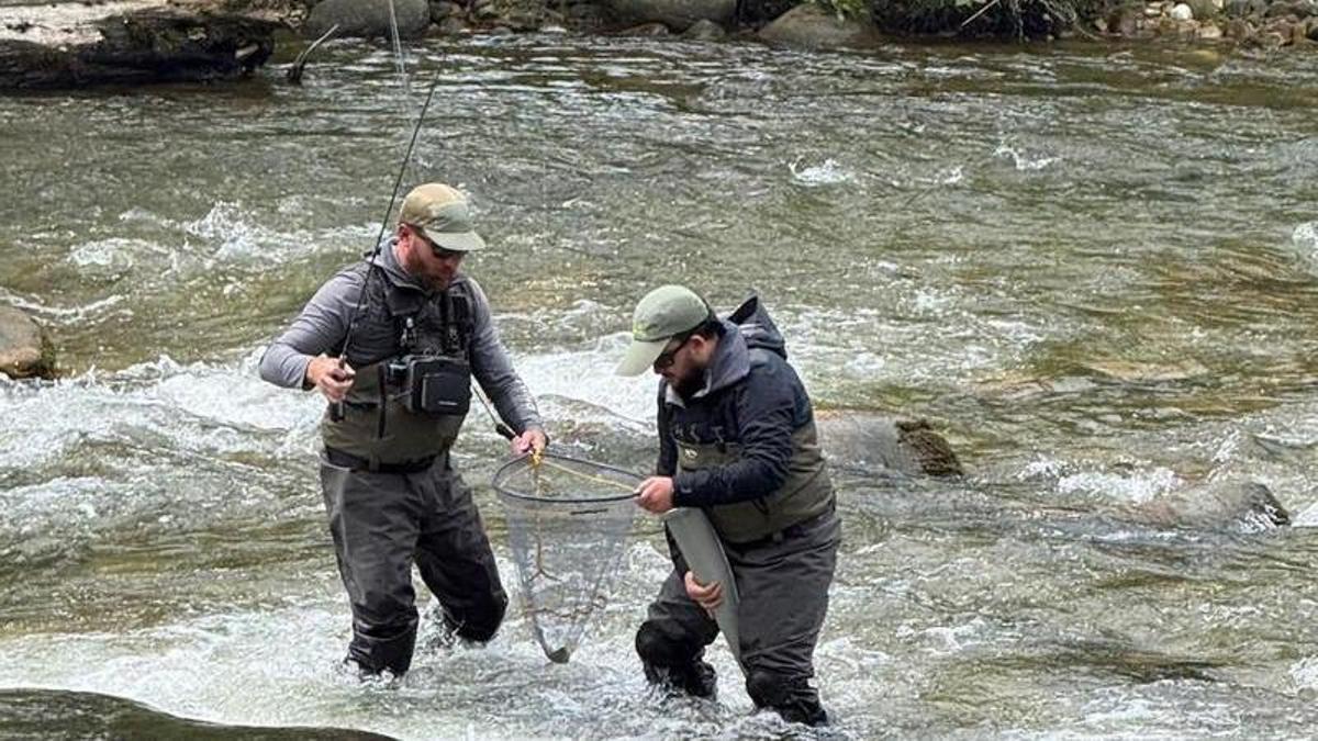 Asturias, campeona de España de pesca salmónidos mosca (captura y ...