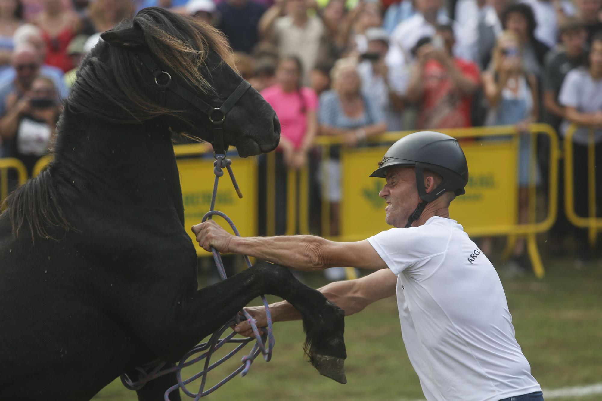 En imágenes: Así ha sido la fiesta del Asturcón en la Majada de Espineres