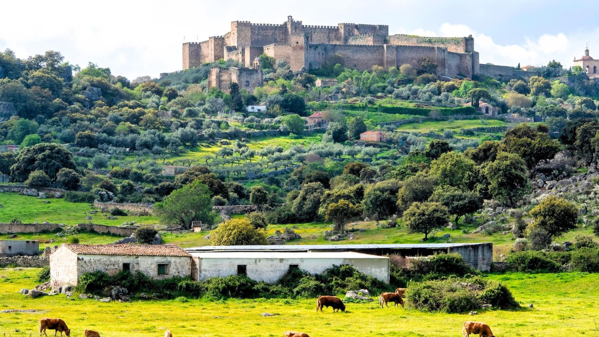 TRUJILLO | Conquistadores, fortalezas y joyas escondidas: un paseo por todos los encantos de ...