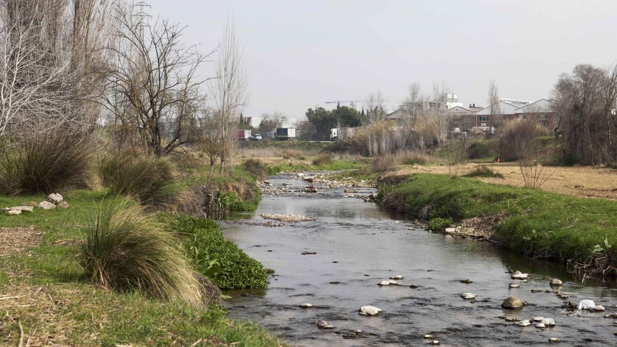 Parets del Vallès detecta presencias de luciérnagas al margen del río Tenes