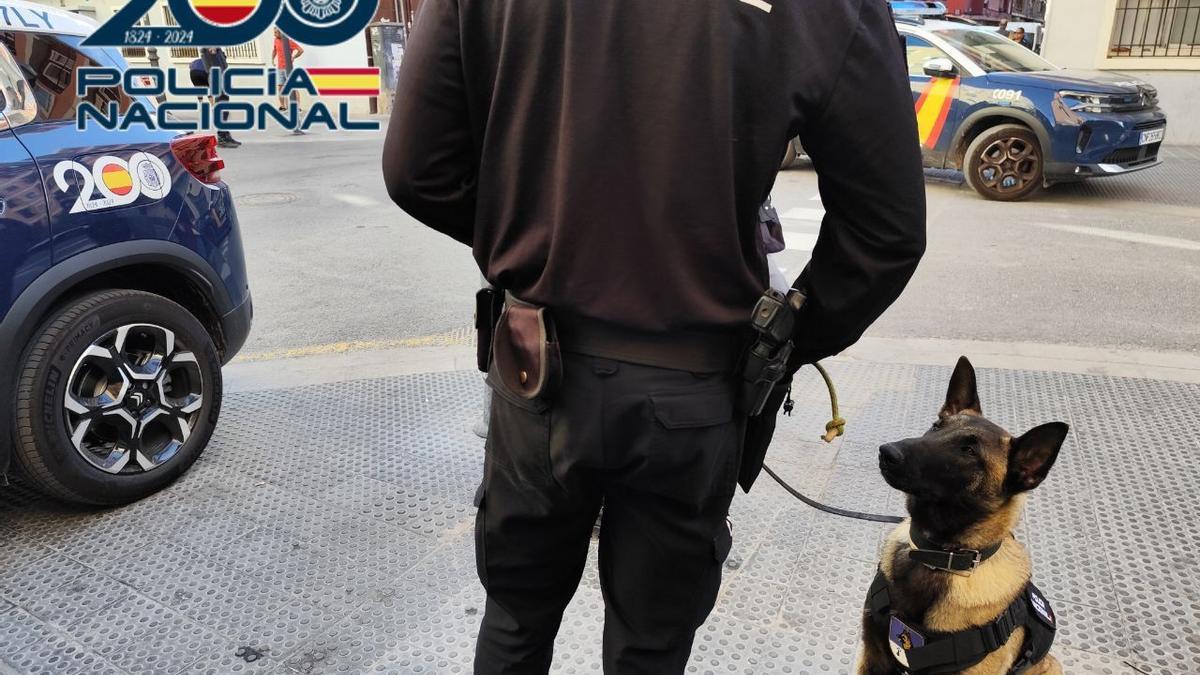 Policía en Orriols | Armas, drogas y ocho detenidos en un dispositivo policial en Orriols