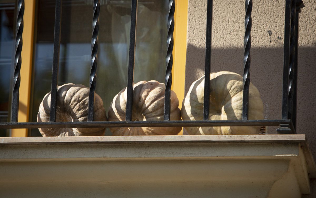 Un paseo por...Alfara de la Baronía