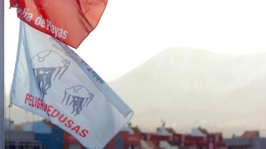 Bandera roja en Telde por las medusas