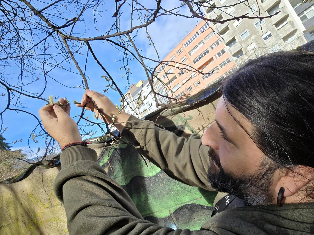 David Eyo, «El hombre del bosque», divulgador científico e influencer ...