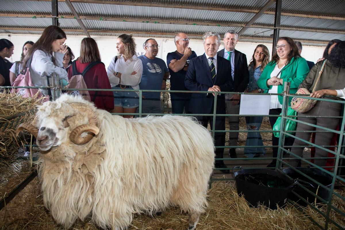 Fuente Obejuna inicia a la 39ª edición de FAGA, una de las citas ...