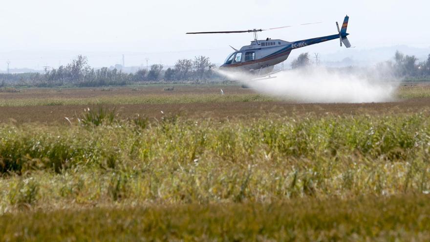 Un helicóptero para fumigar los campos de arroz - Levante-EMV