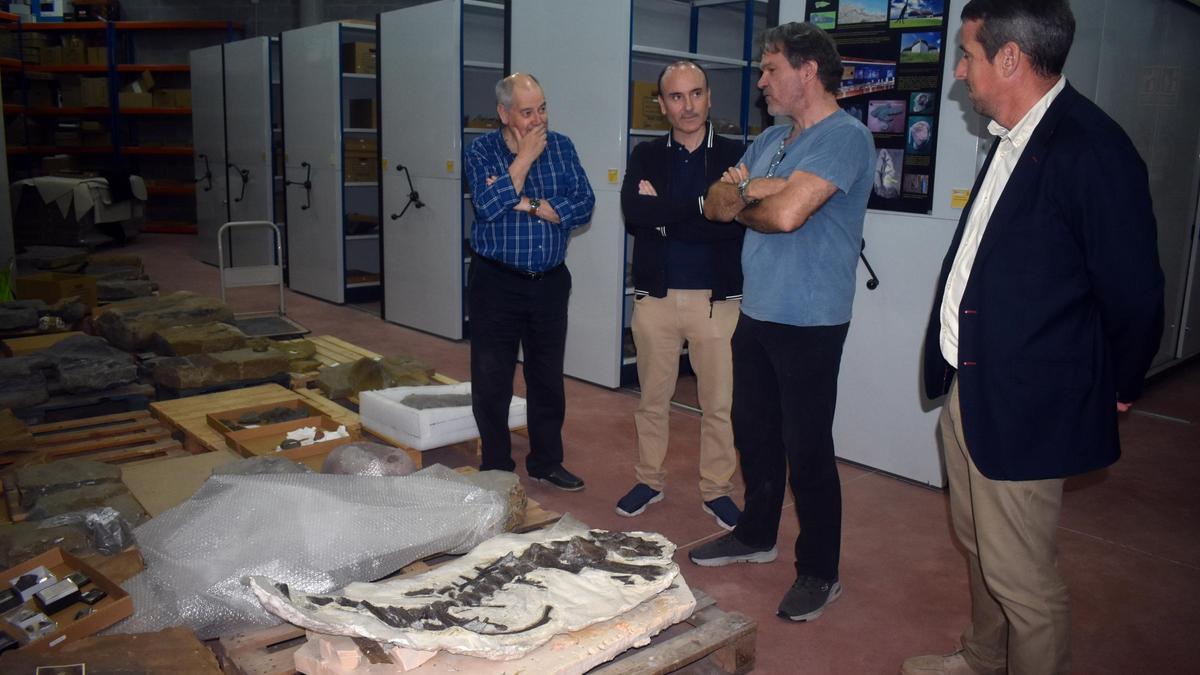 "Quintín", el dinosaurio de Quintueles, será estudiado por el mayor ...