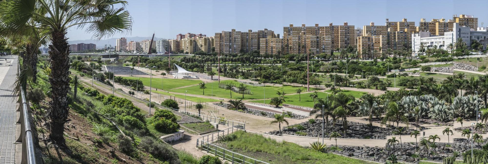 Estado de las laderas del barranco de La Ballena