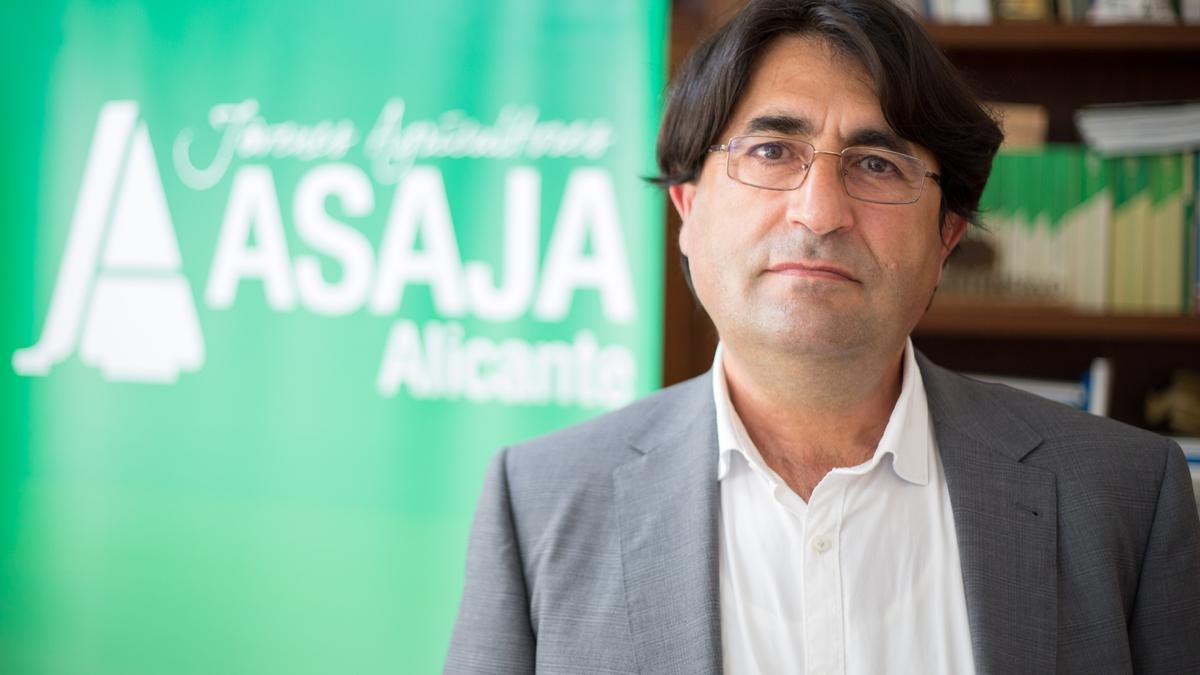 Asaja Alicante: "Hoy es día de luto en la provincia por la muerte del ...