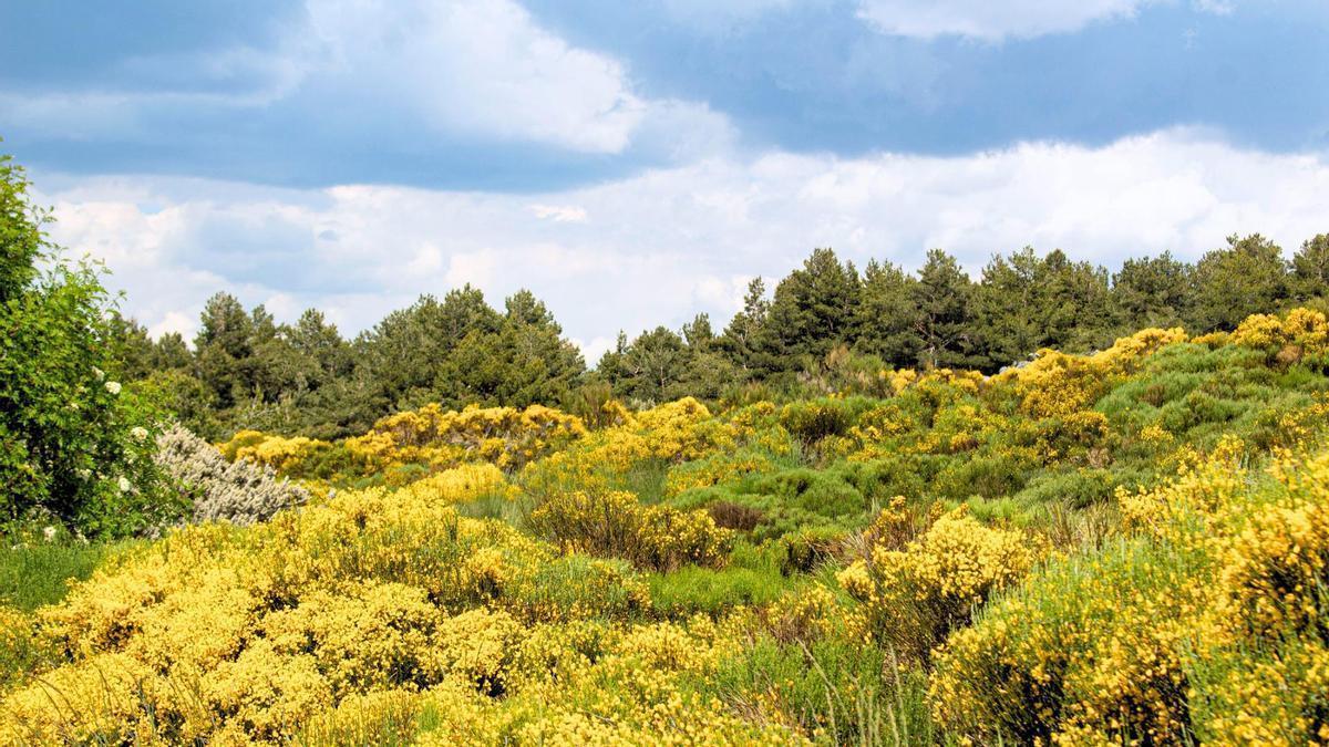 El pueblo de Extremadura considerado el "paraíso de los licores": se ...
