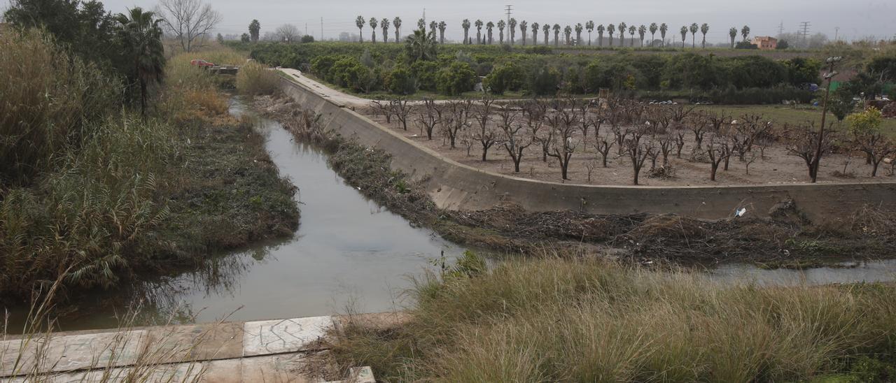 Alzira vigilará el Barranc de Barxeta para detectar el origen de los ...