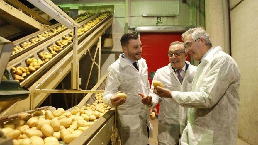 Patatas Gómez duplica su plantilla y su producción en la última década