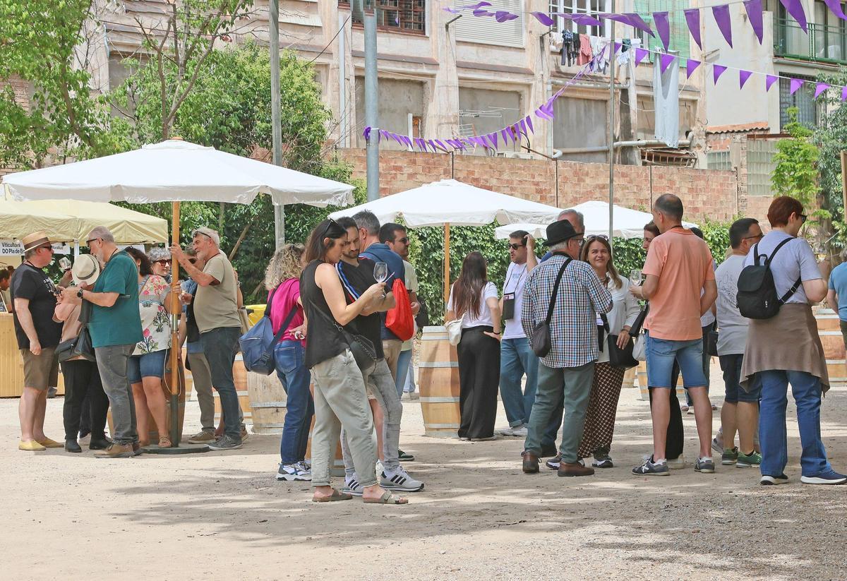 Les imatges de la mostra de vins de la ViBa al Pati del Casino de Manresa