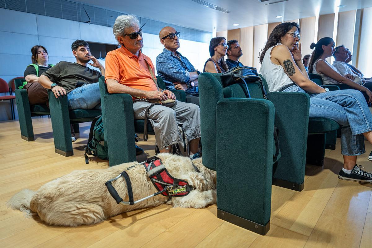 Presentación del documental 'La mente invisible' de EL PERIÓDICO