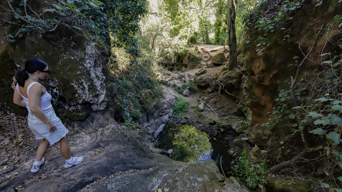 Instan a declarar en riesgo los acuíferos del Bejarano y de los Baños ...