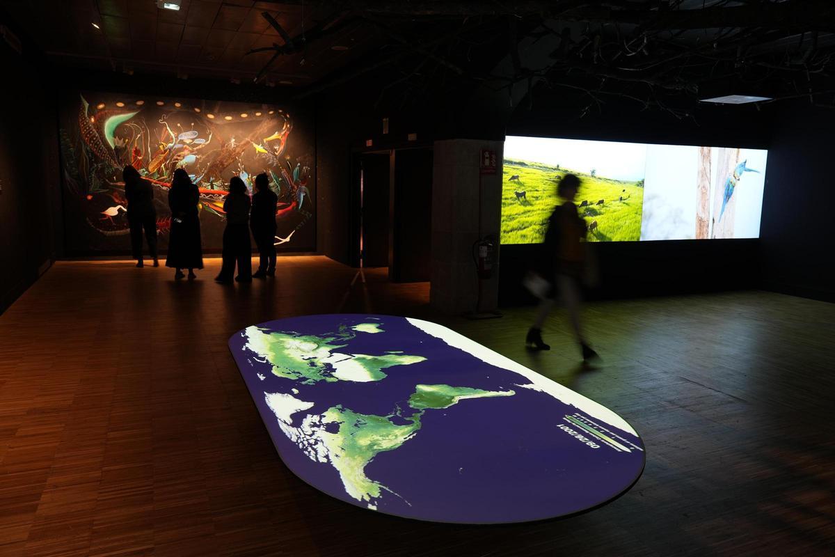 El CCCB presenta la exposición “Amazònies. El futur ancestral” | FOTOS
