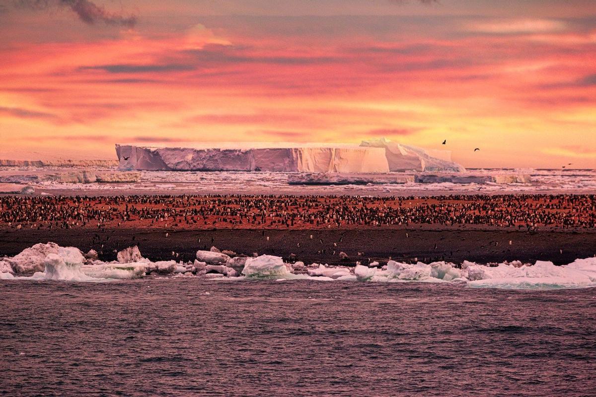 Viajamos al sur del Sur: ruta por el salvaje Mar de Ross, la mayor ...