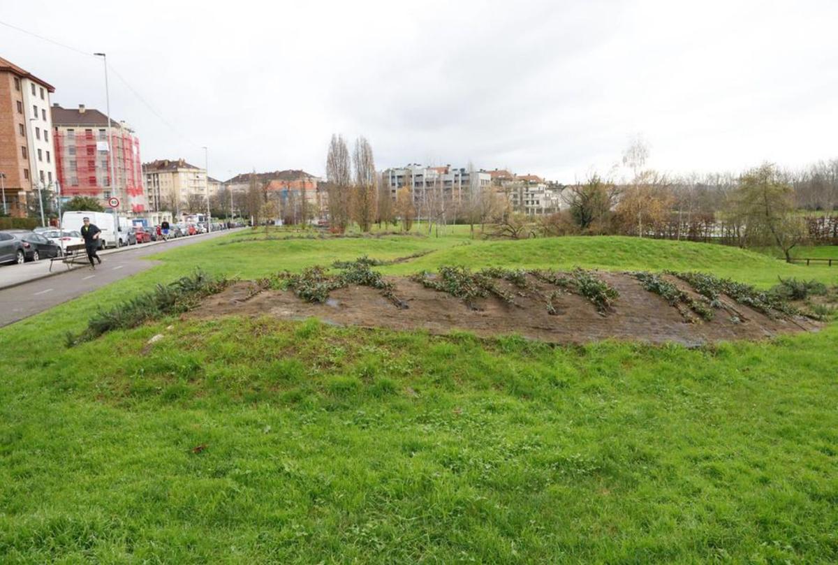 El legado verde de Gijón Ecoresiliente: 20.000 metros cuadrados más