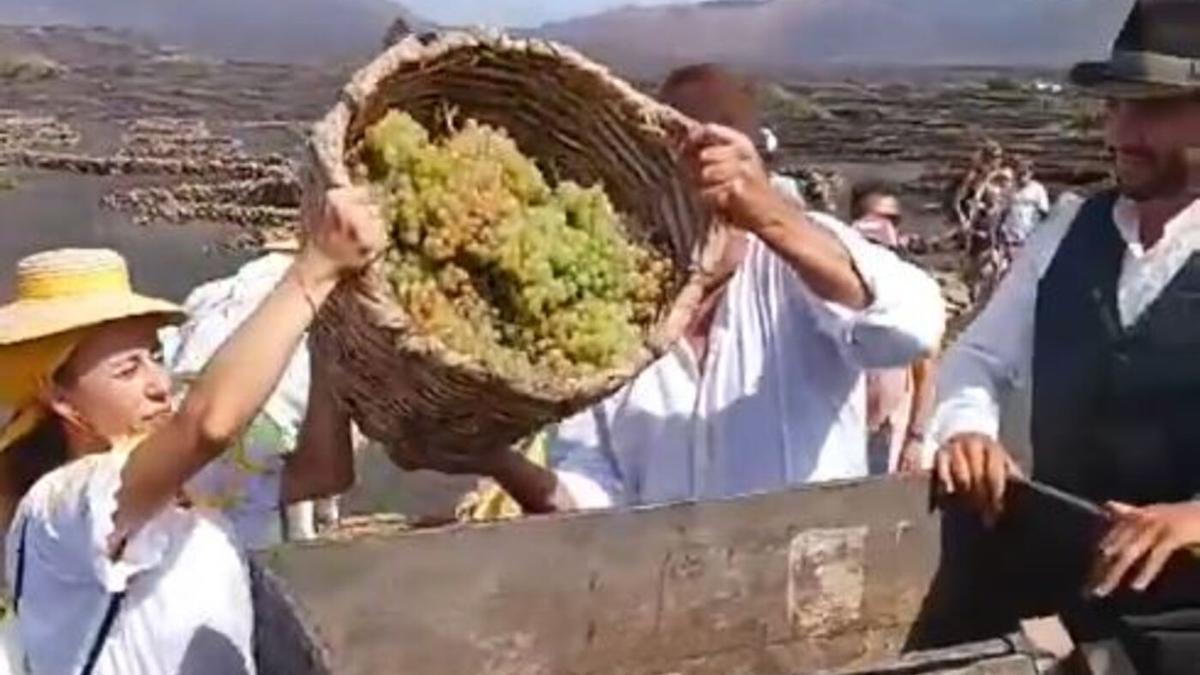 FIESTAS EN LANZAROTE: Lanzarote recrea la vendimia tradicional con ...