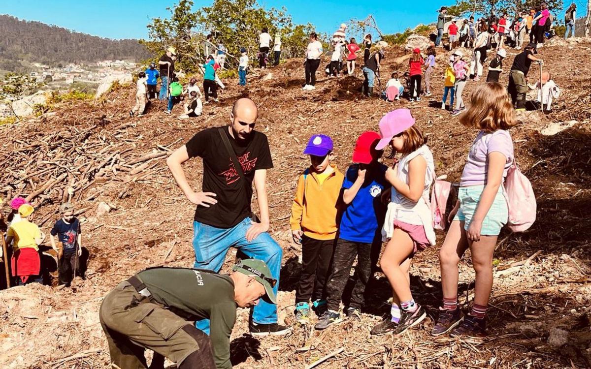 DÍA DEL ÁRBOL EN MOAÑA: Plantación con escolares en Meira