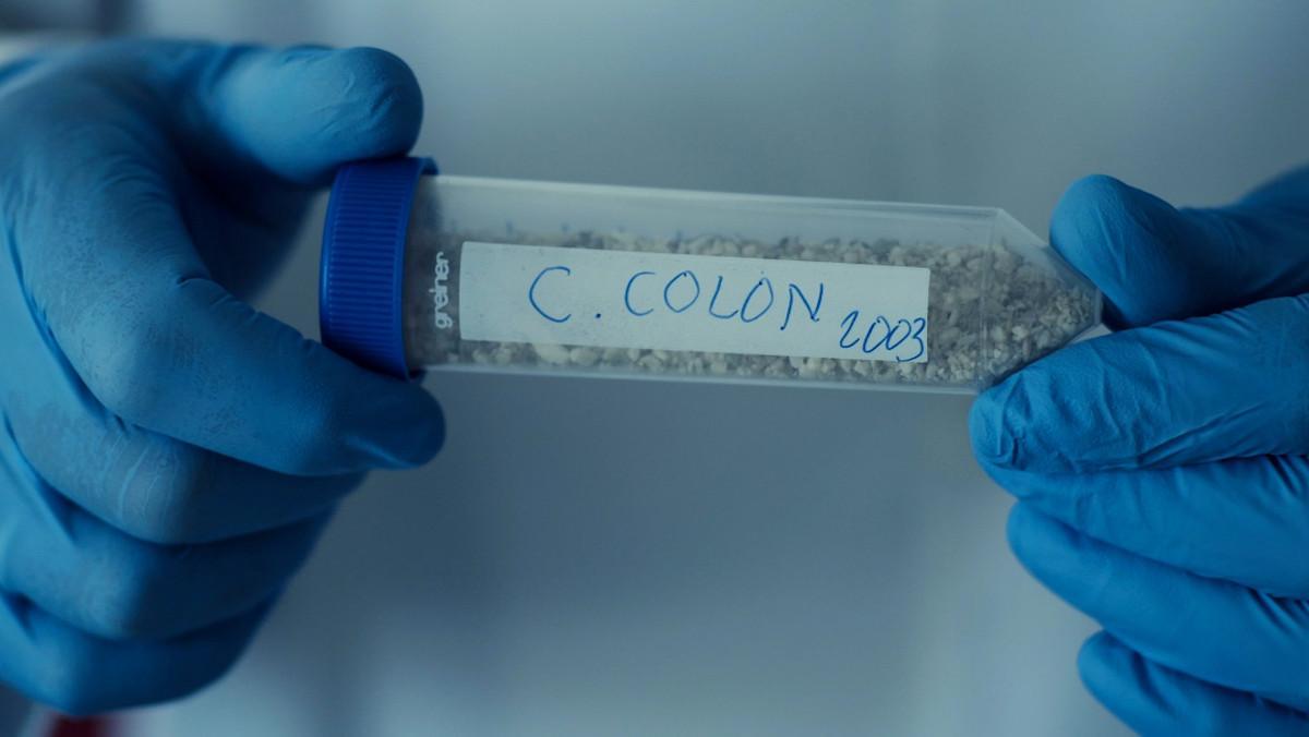 Parece que Colón aún es genovés (y judío, 'chi lo sa')