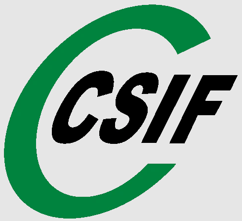 Vidal Muñoz: «CSIF ha sido fundamental para que las 35 horas lleguen al ...
